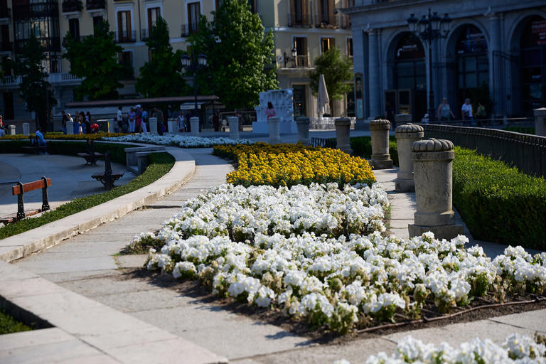 Madrid funcionará mejor que nunca durante cuatro días, en algunos ...