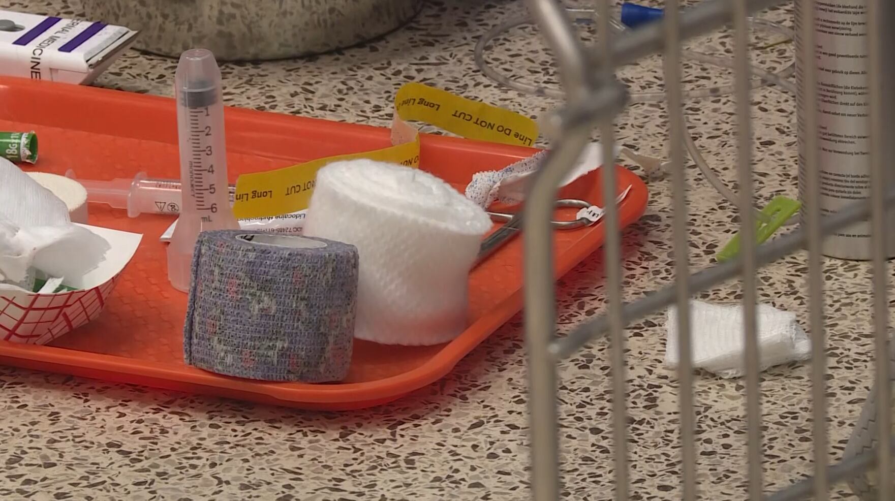 Knoxville veterinarian urges pet owners to secure medications after ...