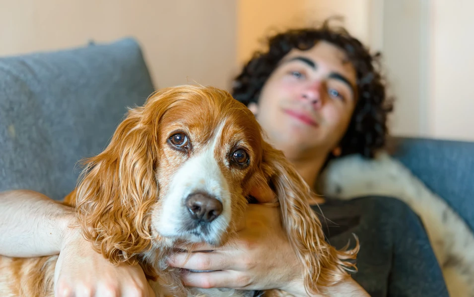 Cocker spaniel care made simple for happy pups