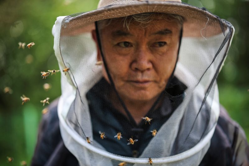 A South Korean beekeeper counts the cost of climate change
