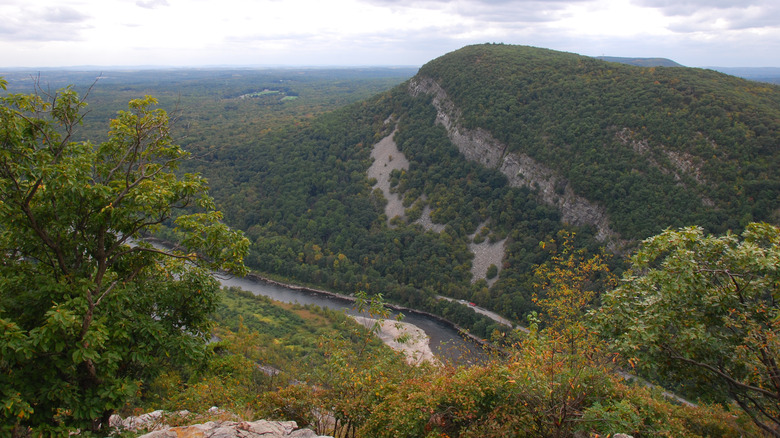 Sandwiched between Allentown and Albany is New Jersey's beautiful state ...