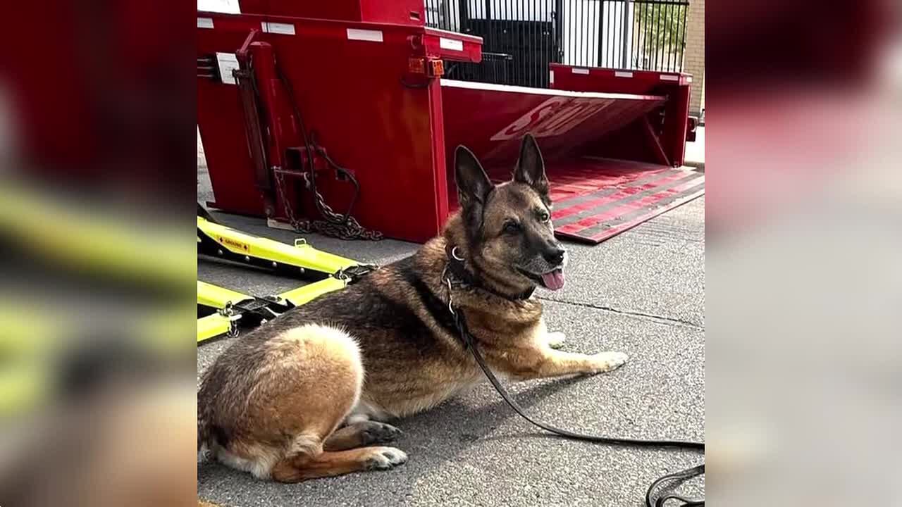UWPD K9 Ritter retired on Wednesday