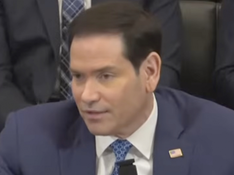 Rubio to Dem rep: You ask questions for 5 minutes and don't let me ...