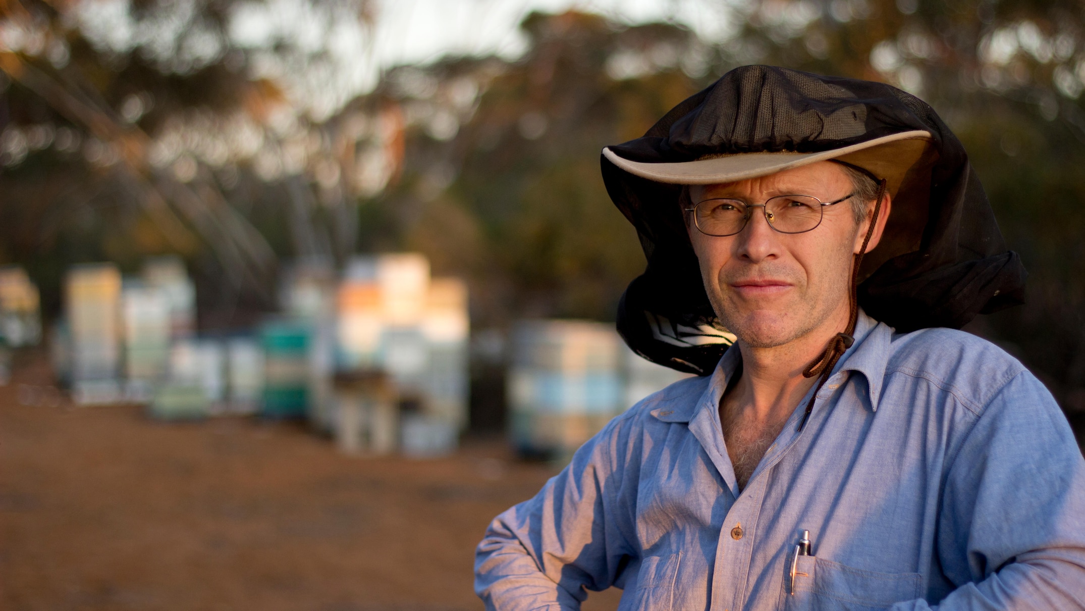 Crop failure concerns as deadly bee parasite wipes out hives and forces ...