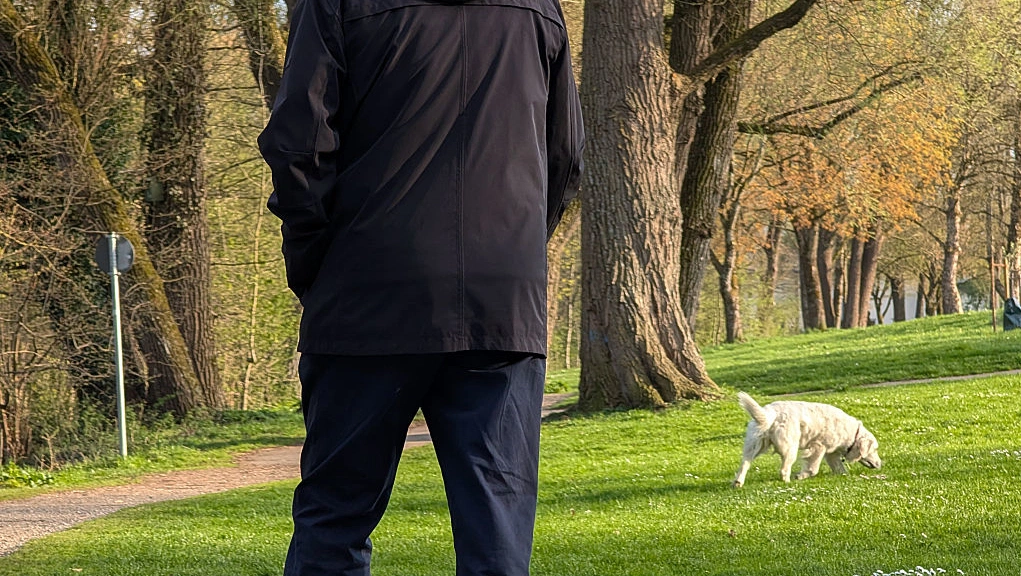 Raising a happy healthy dog made simple