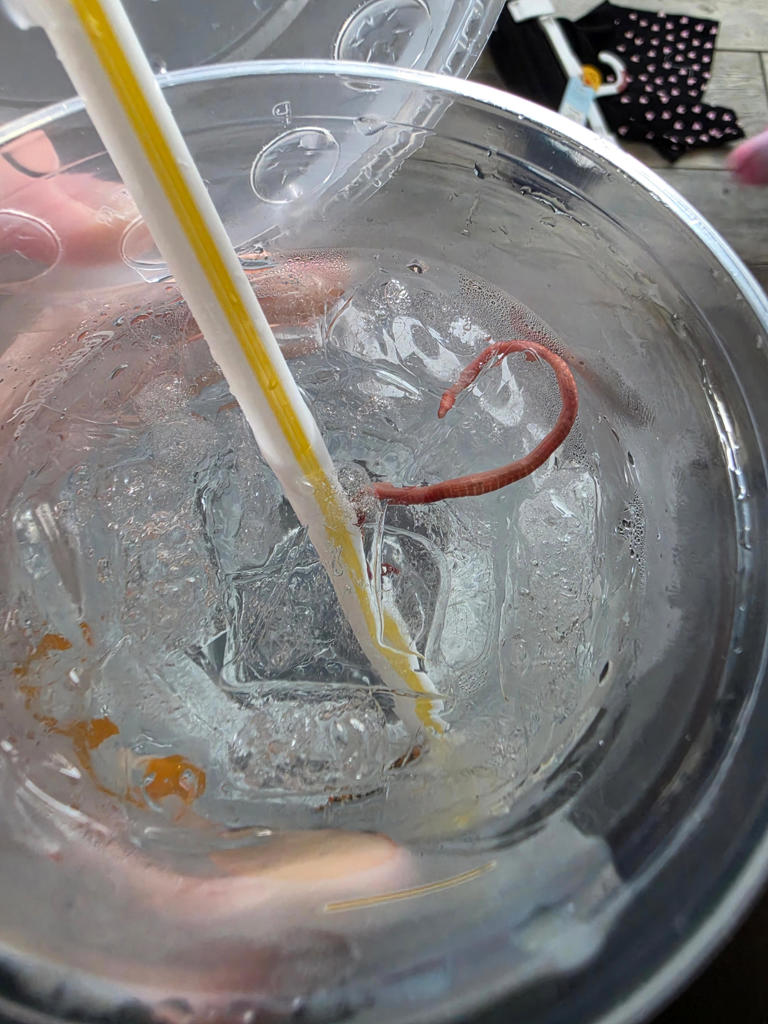 Operator of Paddock Lake McDonald's sued for having worms in its sodas