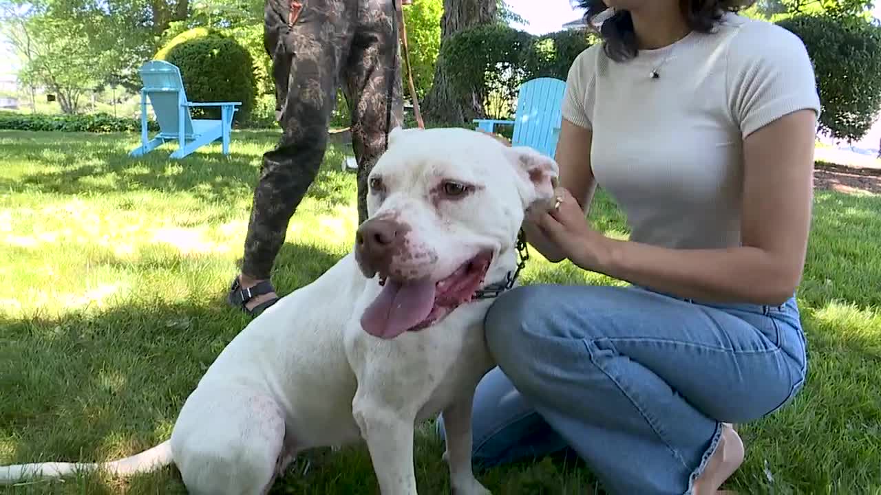 Pets on set: Snow