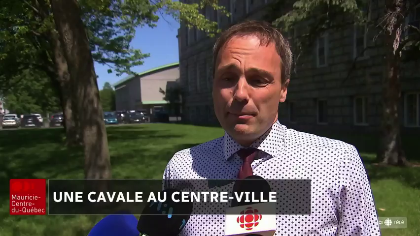 Une cavale au centre-ville de Trois-Rivières