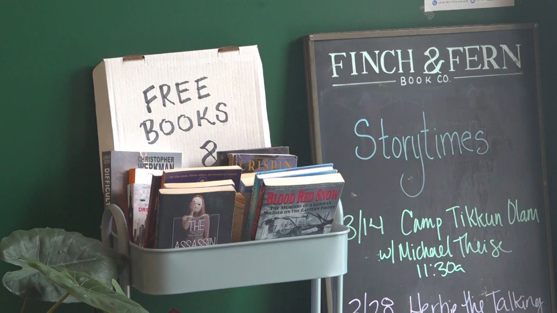 Sylvania bookstore to close storefront after four years