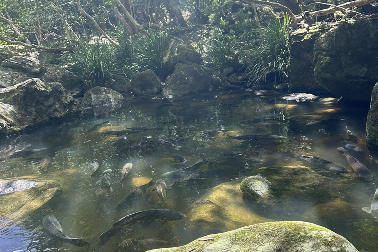 12kg catch in Aussie waterway reveals huge war against invasive pest ...