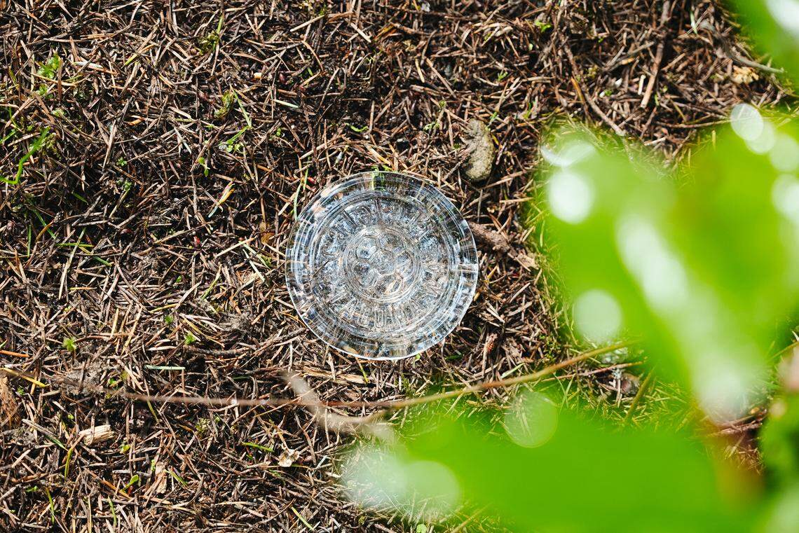 Find hidden soccer-themed glass medallions around Pierce County this month