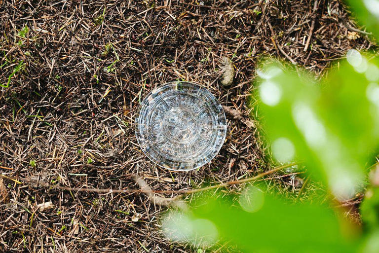 Find hidden soccer-themed glass medallions around Pierce County this month