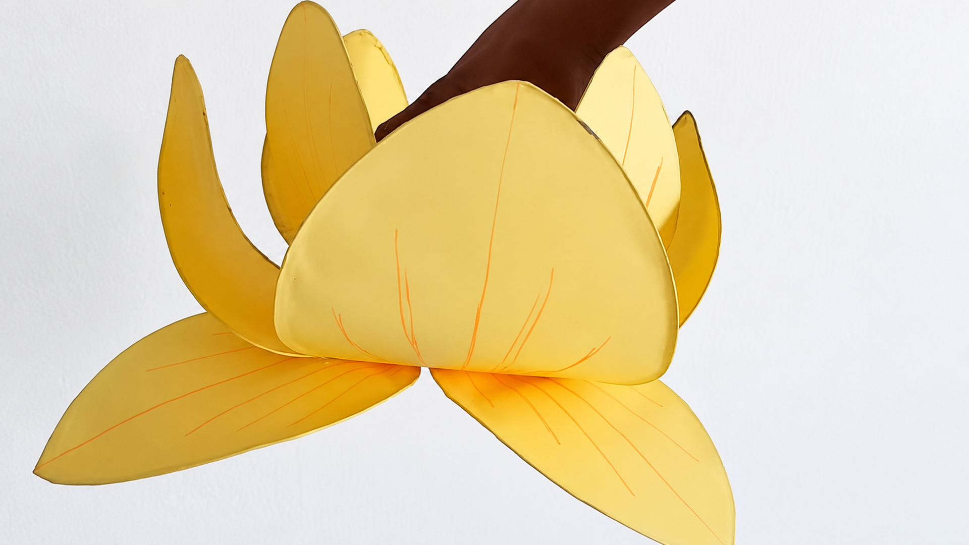 How to turn simple wastes into a lotus lamp?