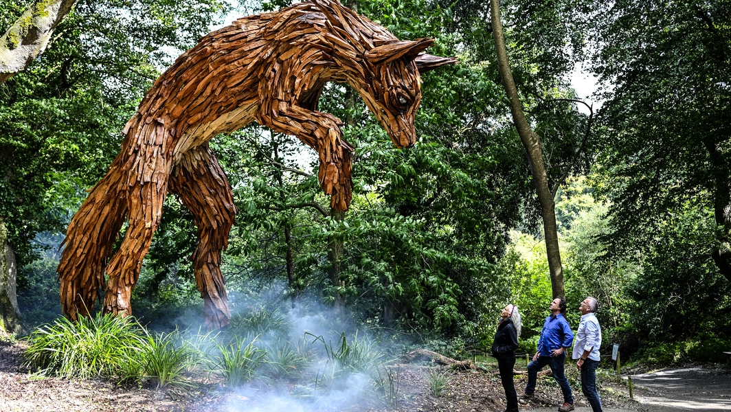 19 strange and surprising forest discoveries