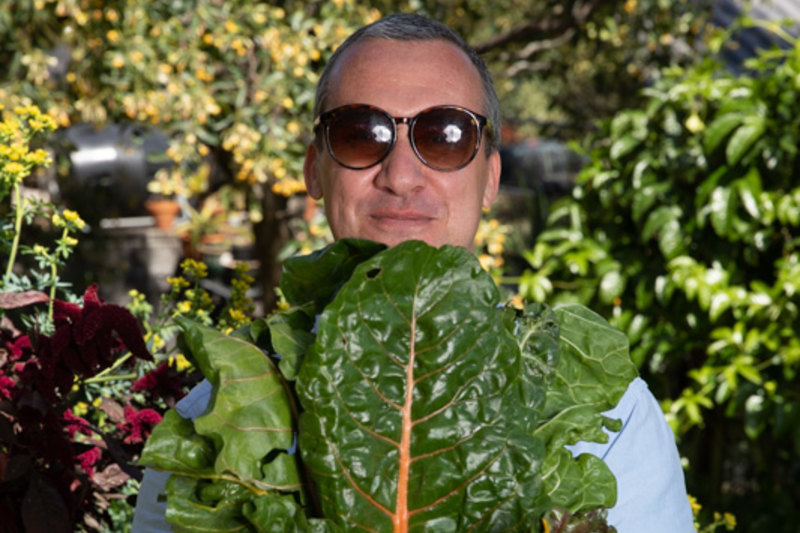 Yes, you can easily grow your own vegetables at home - especially if ...
