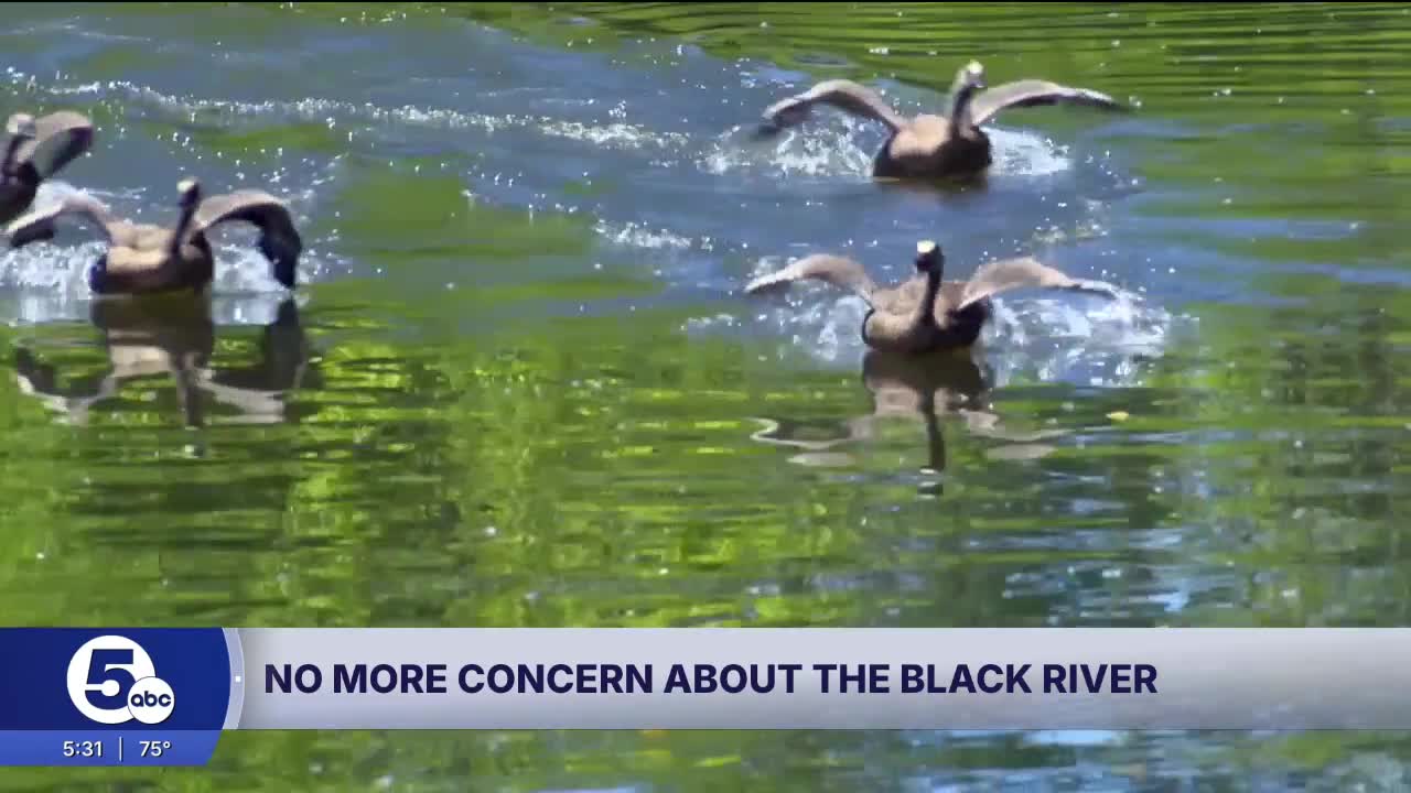 This Lorain County river is nearly off a dubious list