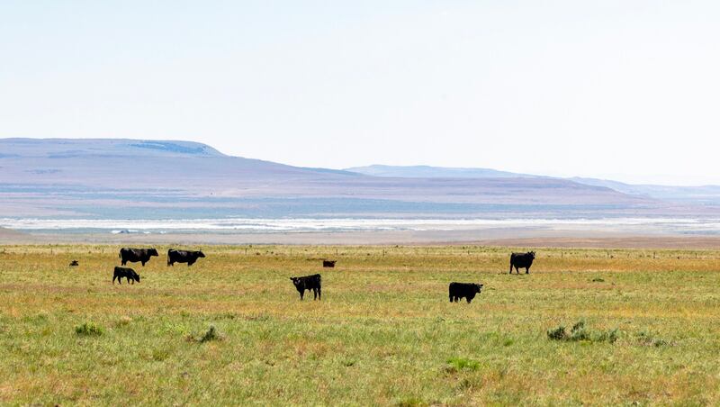 Box Elder County data center foes sue to reverse decision stalling ...