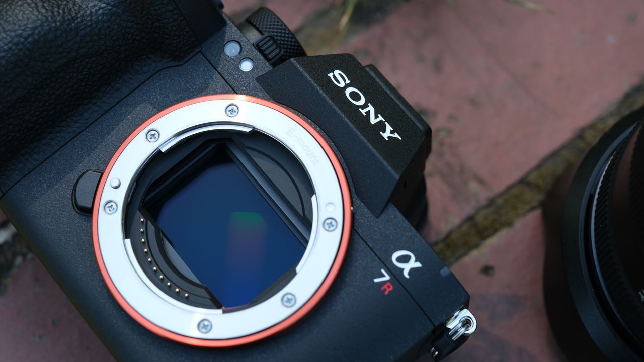 The Sony A7R VI proves high resolution needn't come with noticeable ...