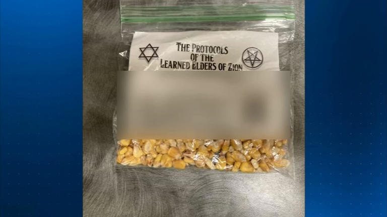 Ohio man pleads guilty to littering Squirrel Hill with antisemitic flyers