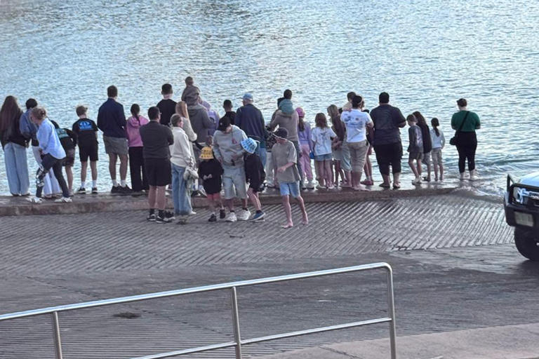 Tourists stunned by 'fantastic' sight metres from Aussie boat ramp ...