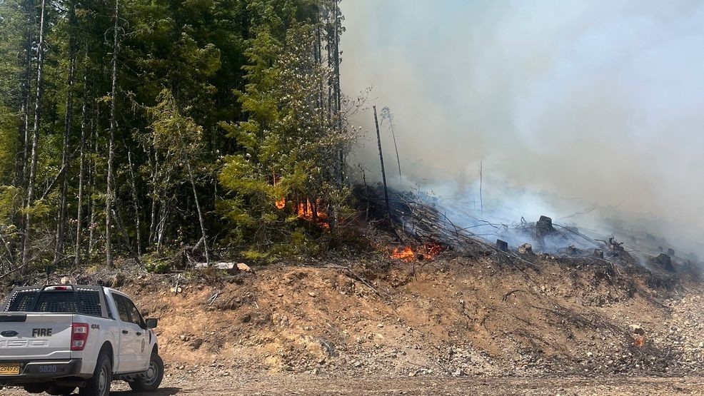 Firefighters battle 19-acre Kinney Ridge Fire near Detroit Lake, cause ...
