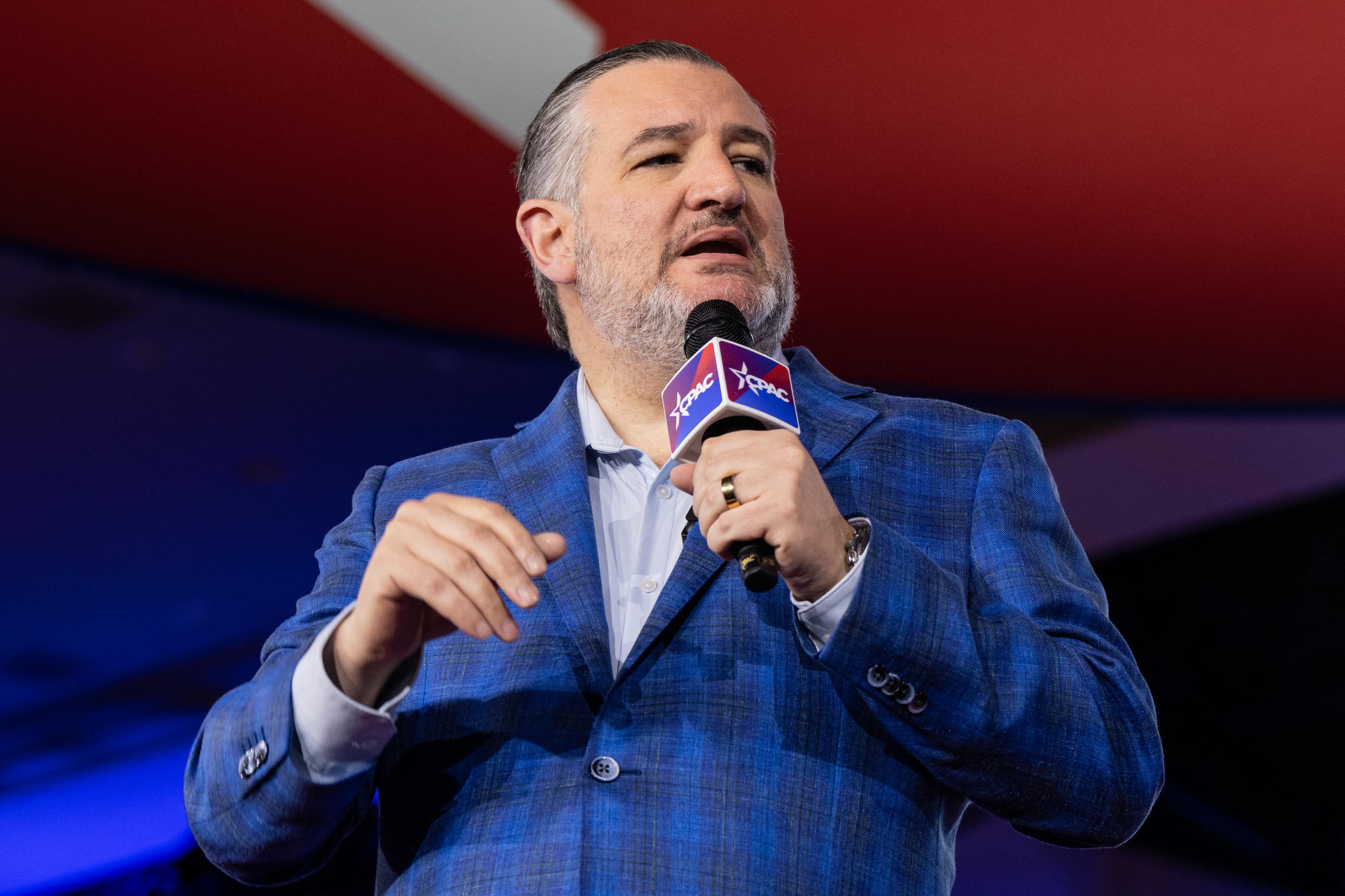MAGA loyalist and 2020 election denier says Dems don’t believe in ...