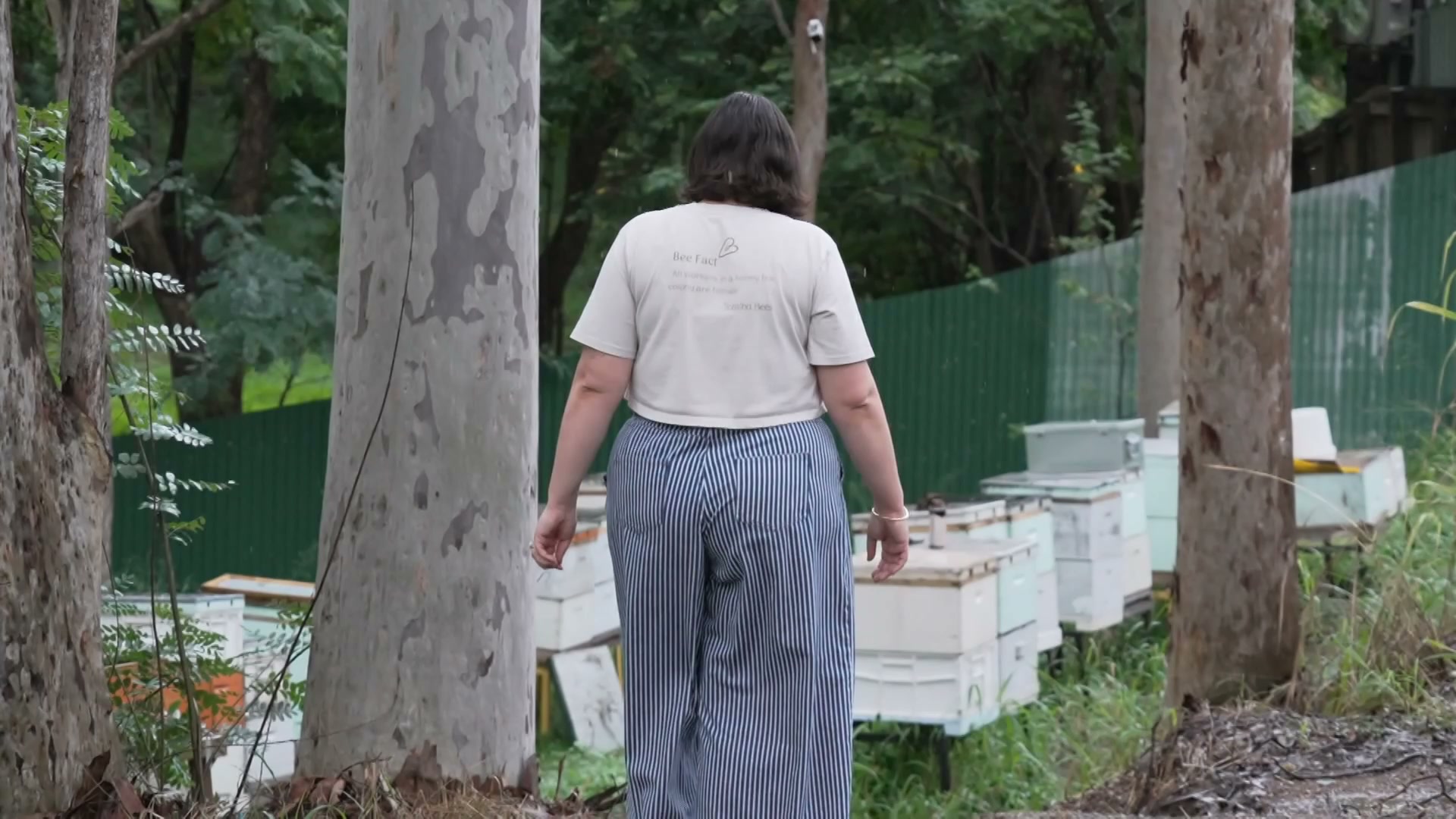 Queensland beekeepers warn varroa mite threatens to destroy industry