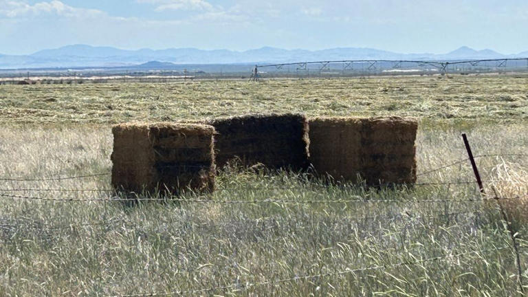 'Screaming into the void' over two data centers in central Utah