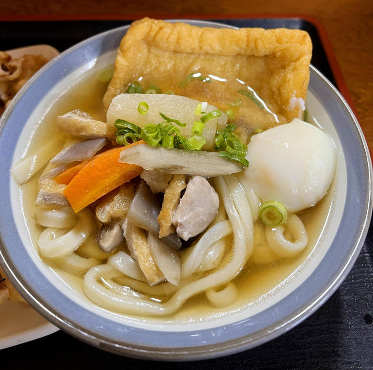 Feature: Japan researchers turn discarded udon noodles into ...