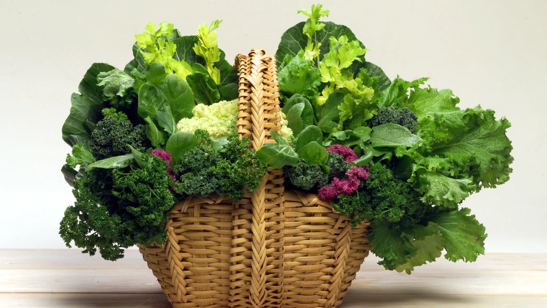 Review links diet patterns to brain health across lifespan