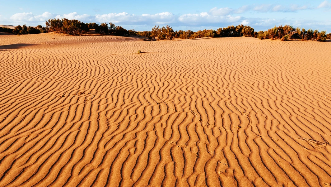 19 strange and mysterious desert finds