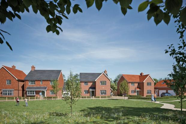 Housebuilder inviting visitors to tour show homes at New Forest development