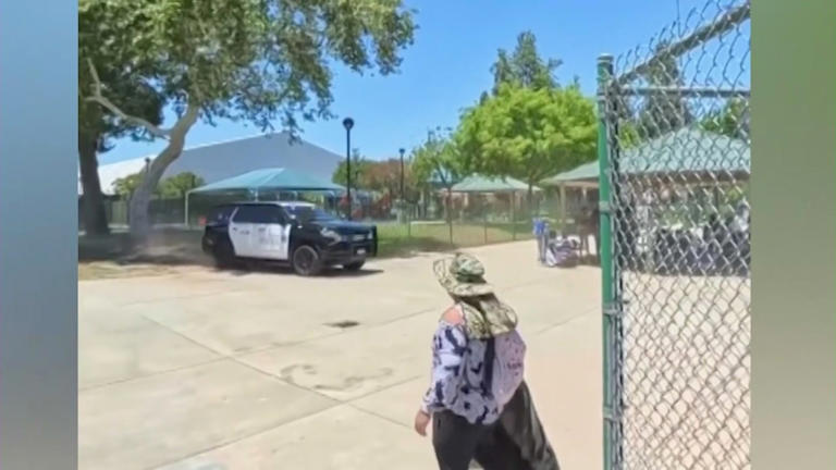 Watch: Man fleeing police drives through Little League game in California