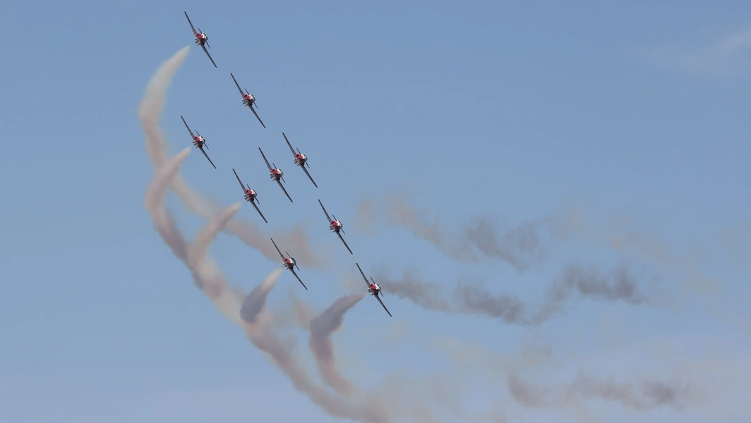 Snowbirds alumni push plan to avoid years-long grounding