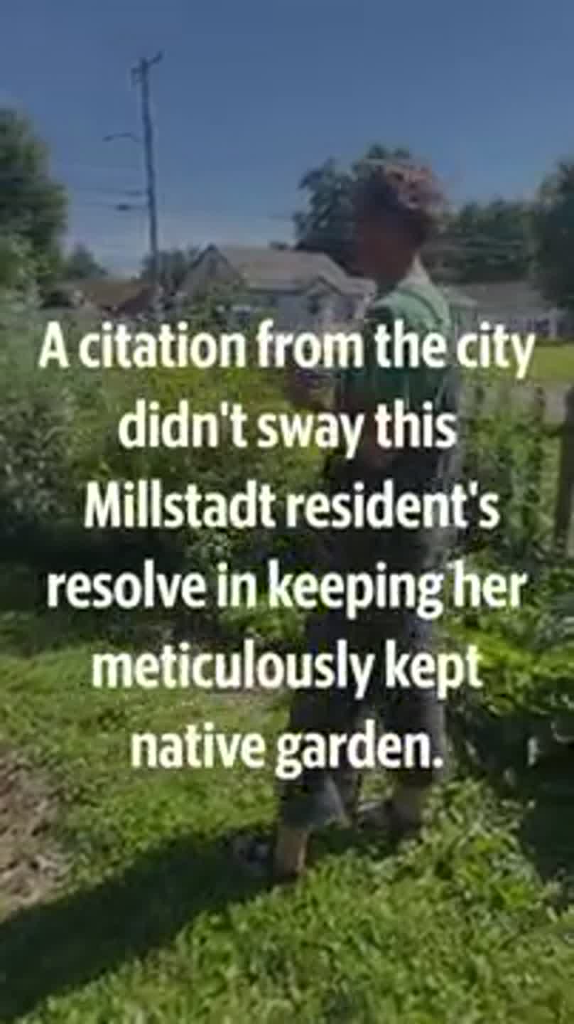 Millstadt woman keeps native garden despite city citations, cancer battle