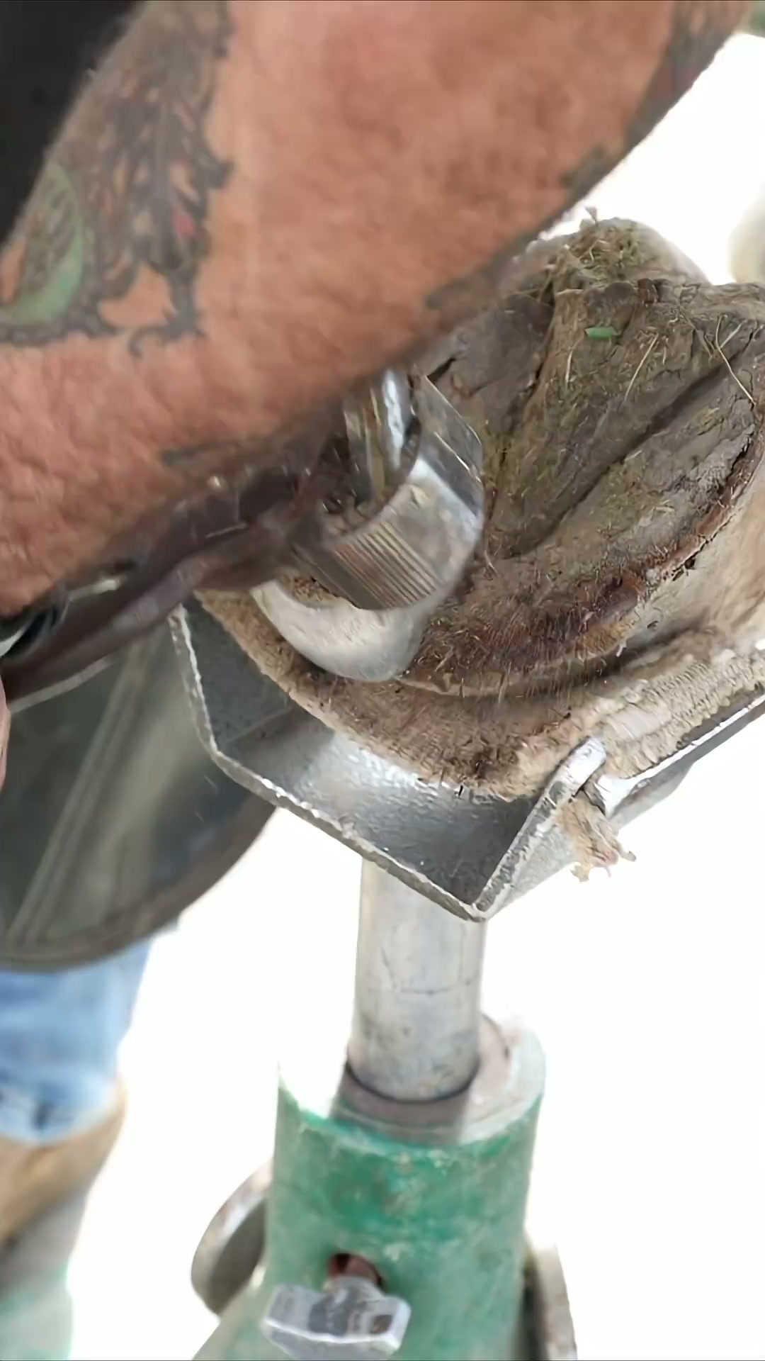 Removing a horseshoe that refused to come off