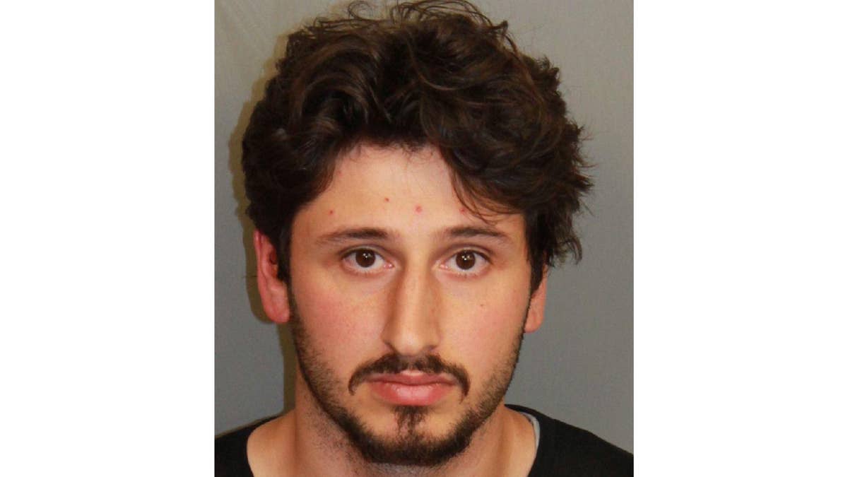 Man arrested for allegedly throwing 5 kittens from car on interstate