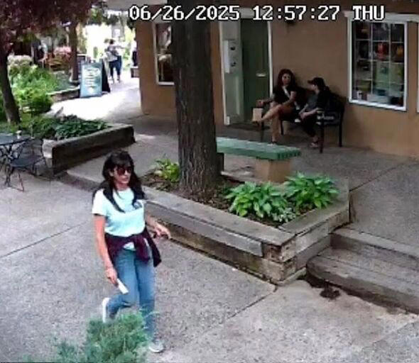 Missing US scientist's body found 'skeletonised' with gunshot wound