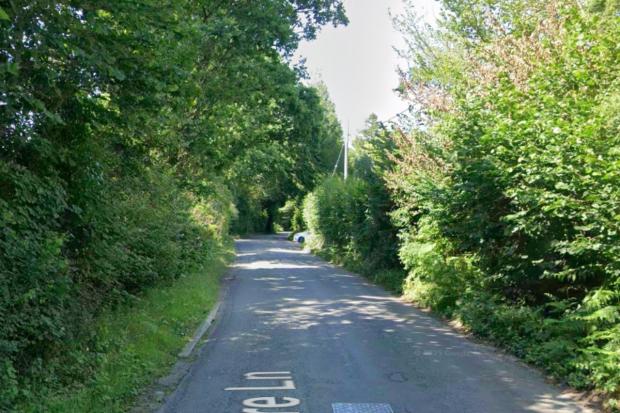 New Forest road set to close for one day for pole testing