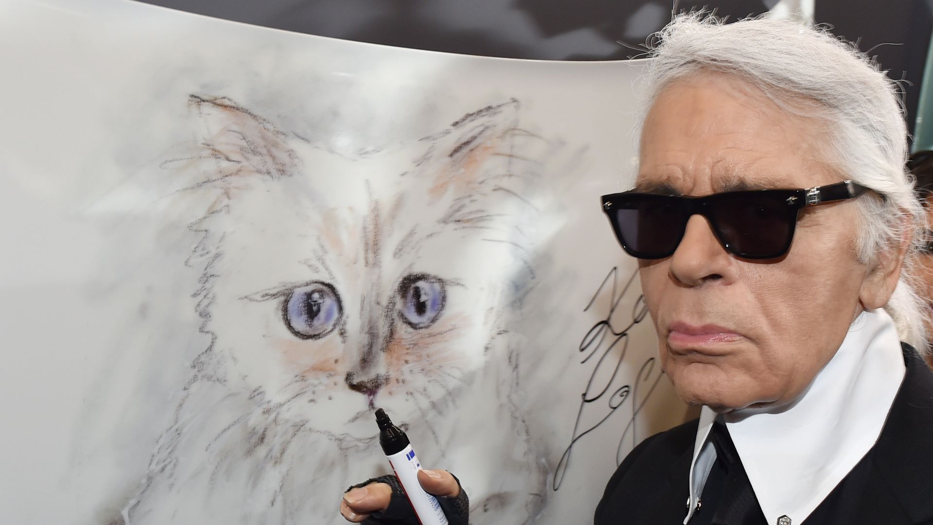 Karl Lagerfeld's cat Choupette still waiting for her inheritance — six ...