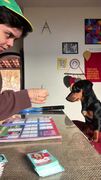 Dog helps peel stickers for album
