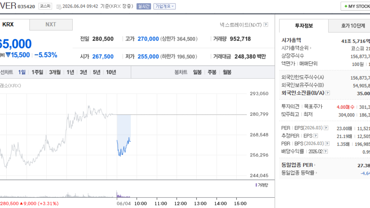 NAVER 주가, 6월 4일 장중 265,000원 5.53% 하락
