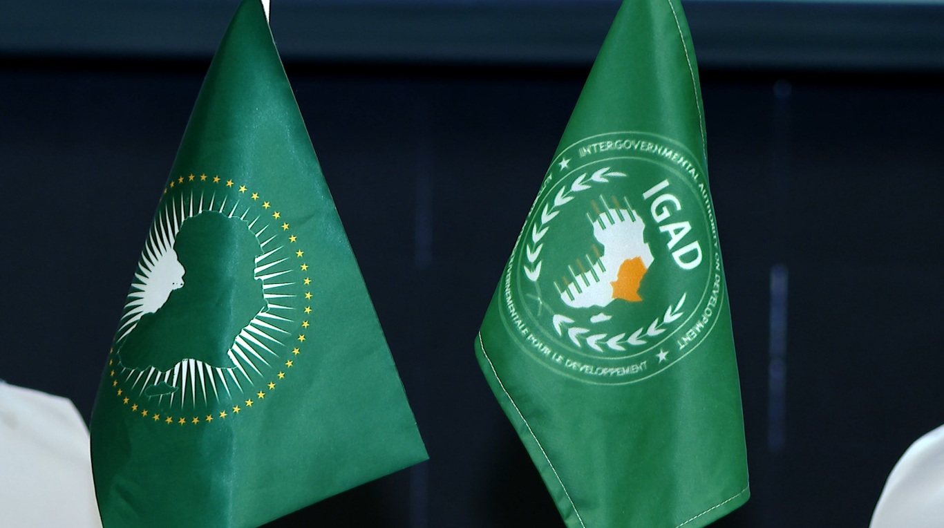 Heads of AU and IGAD election missions laud Ethiopia's democratic ...