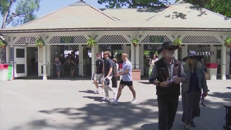 Racing fans gather as Belmont Stakes Festival begins