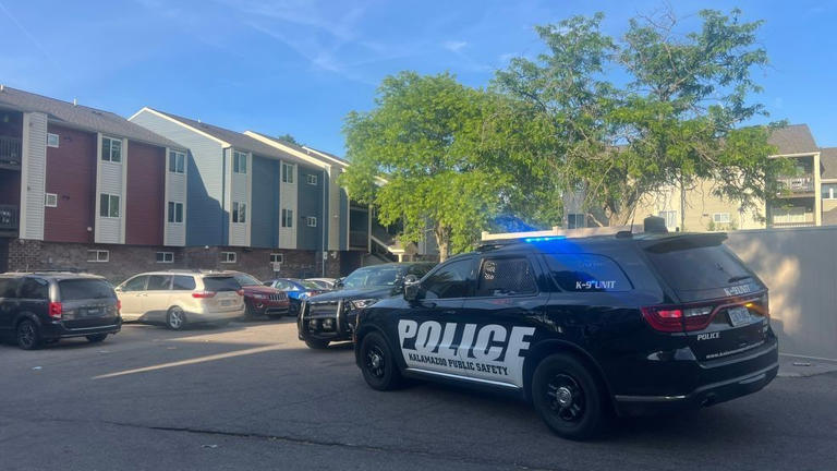 Police search for man suspected of cutting boy in face at Kalamazoo ...