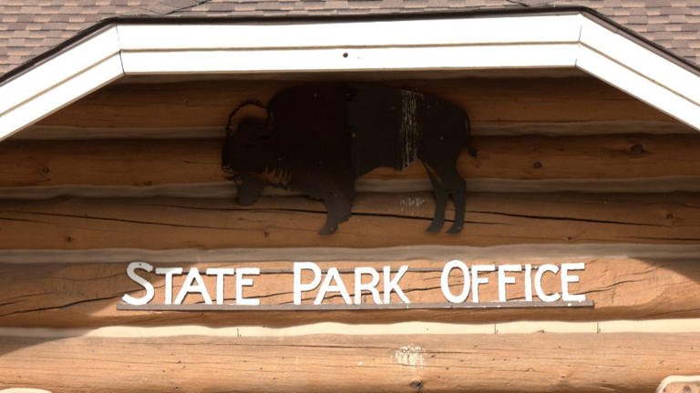 Custer State Park officials urge caution near bison