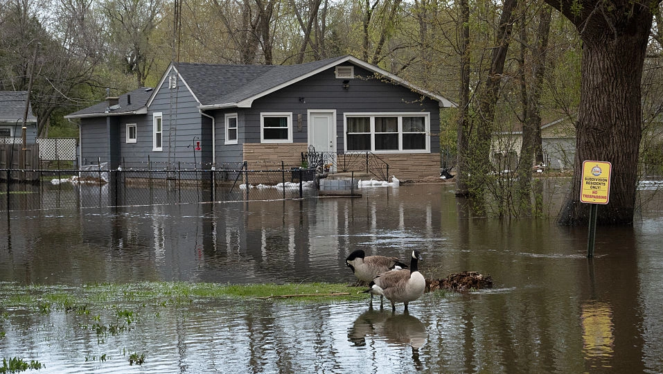 14 common home insurance exclusions explained