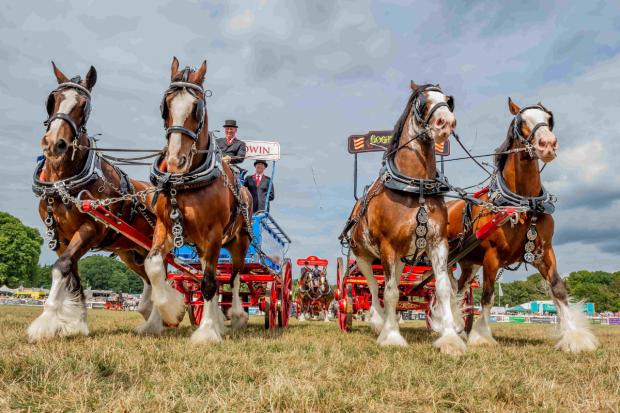 New Forest and Hampshire County Show to return in July