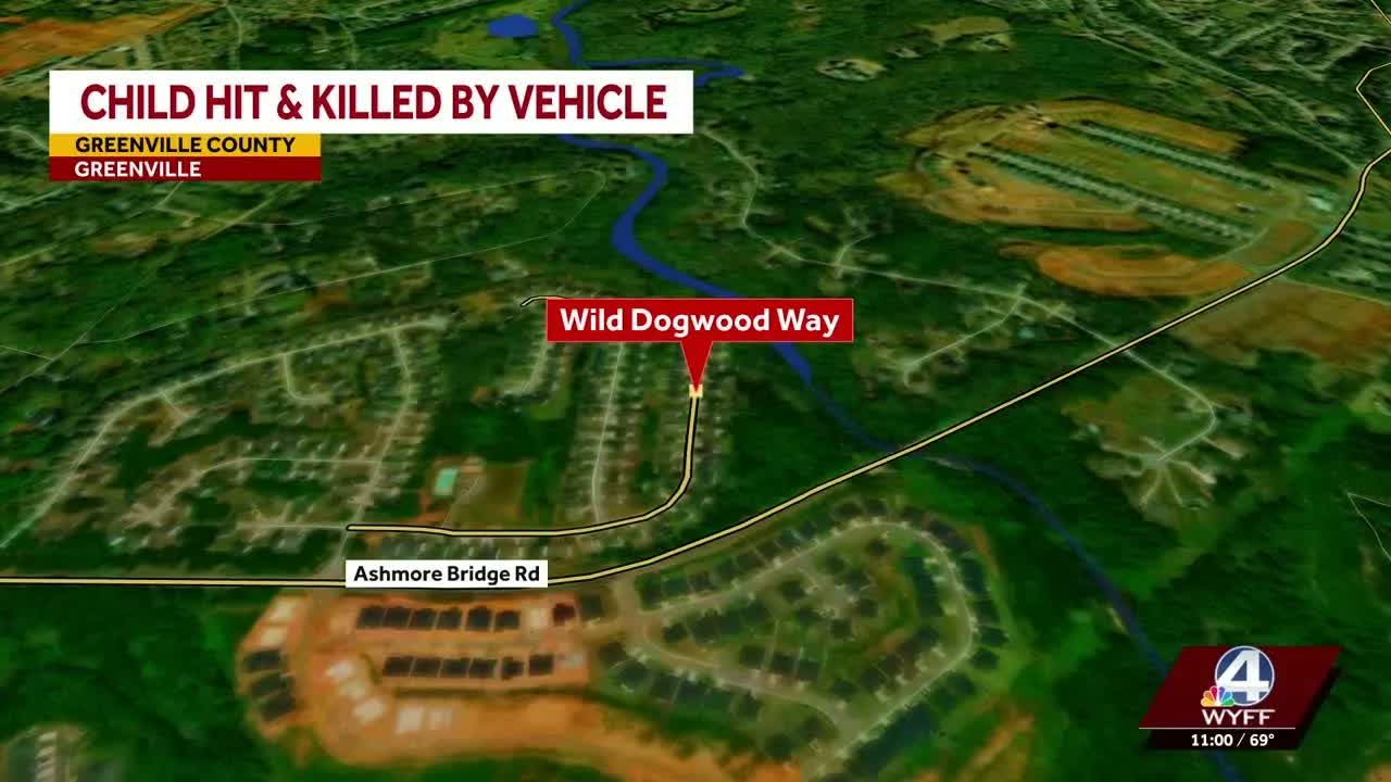Child fatally struck by car in Mauldin