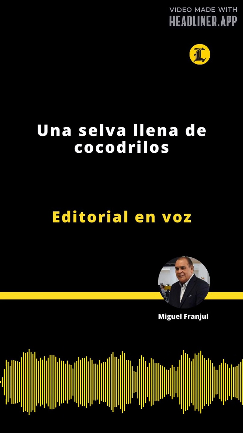 Editorial | Una selva llena de cocodrilos